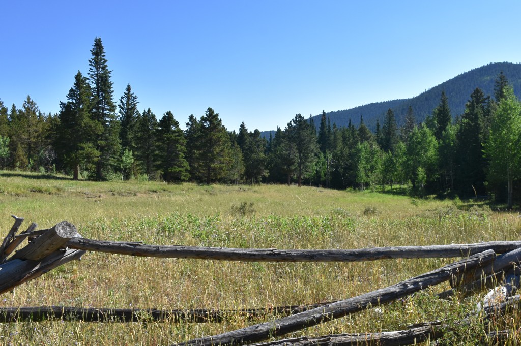 Estes Park and the Battle for Spring | Concrete Chaparral